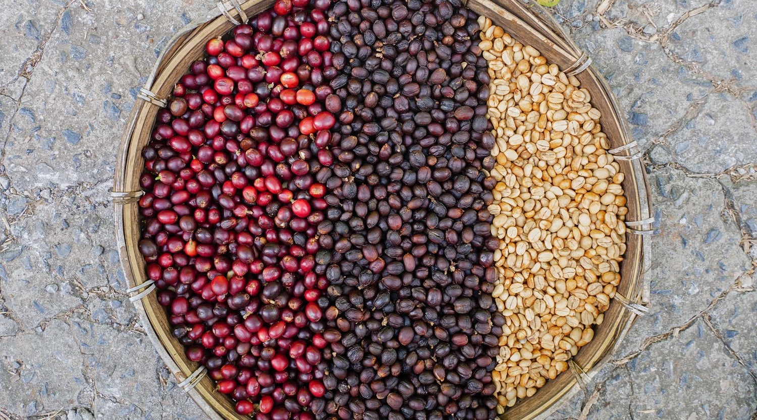 The Seasonality of Coffee: A Flavorful Journey – Hypergoat Coffee Roasters